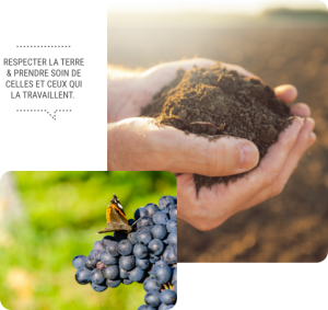 Accueil - G2V Services